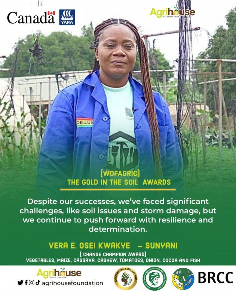 Meet Vera Enyonam Osei Kwakye,A 43year old Farmer Revolutionizing ...