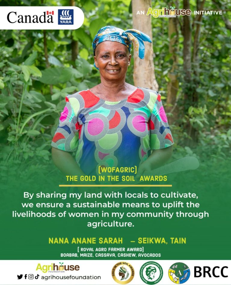 Nana Anane Sarah: Traditional Leader Transforming Agriculture and ...